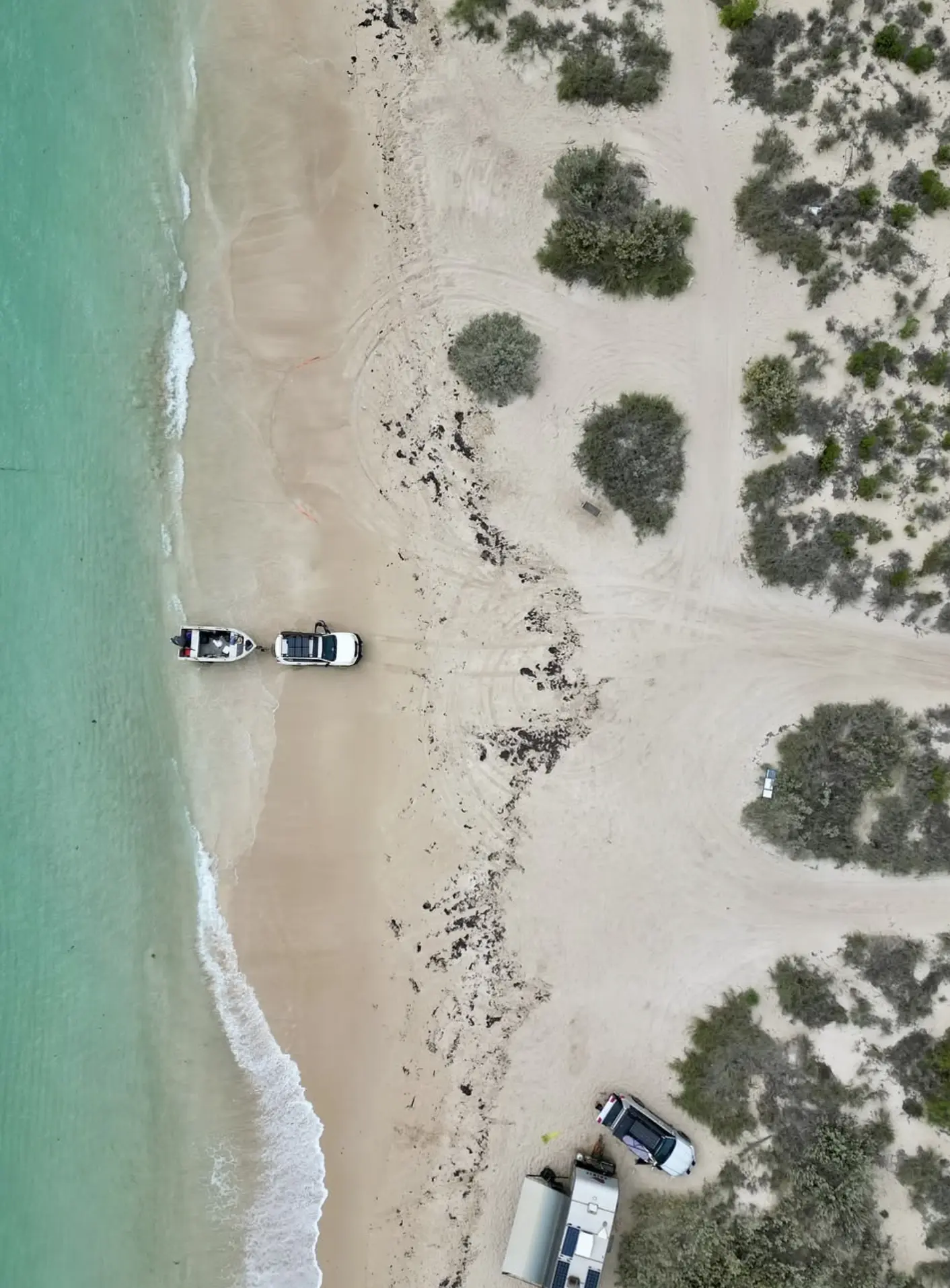 Ningaloo Reef Facts: Marine Life & Travel Guide
